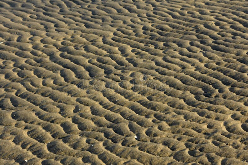 Rolling Pattern of Rippled Waves on a Sand Beach Stock Image - Image of ...