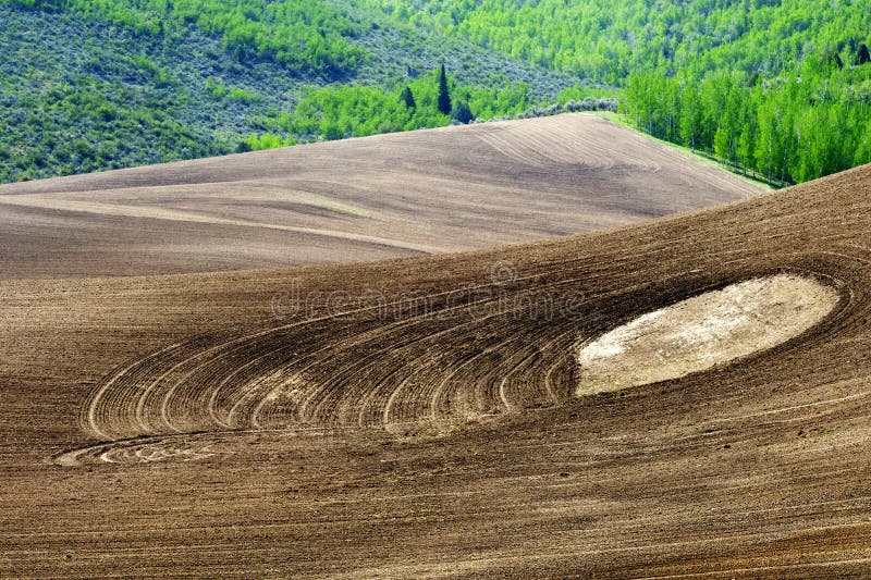 Rolling Plowed Field on Farm with Furrow Marks and Rows Texture Stock ...