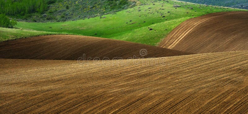 Rolling Plowed Field on Farm with Furrow Marks and Rows Texture Stock ...