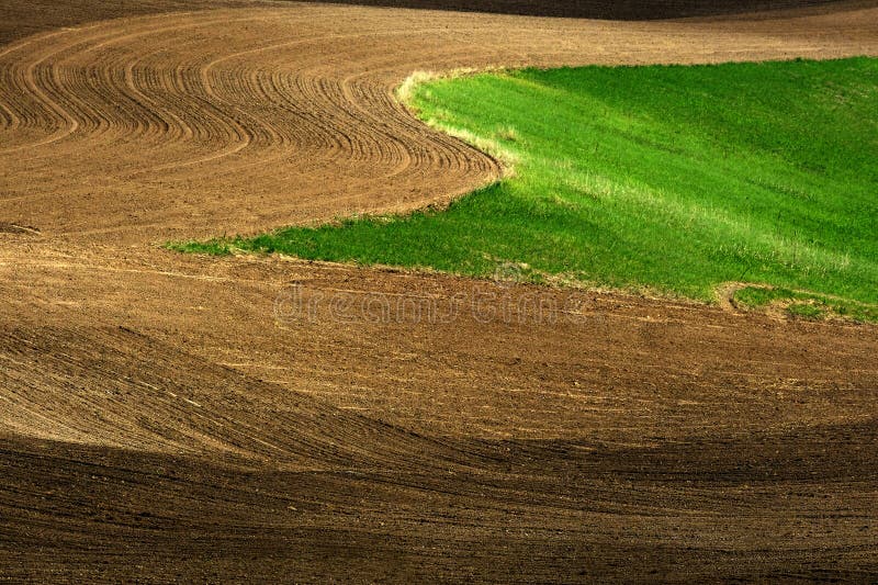 Rolling Plowed Field on Farm with Furrow Marks and Rows Texture Stock ...