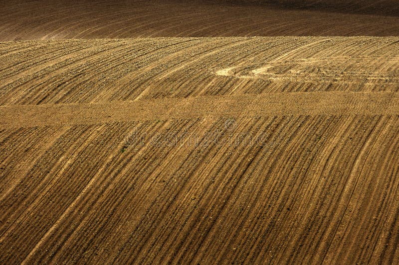 Rolling Plowed Field on Farm with Furrow Marks and Rows Texture Stock ...