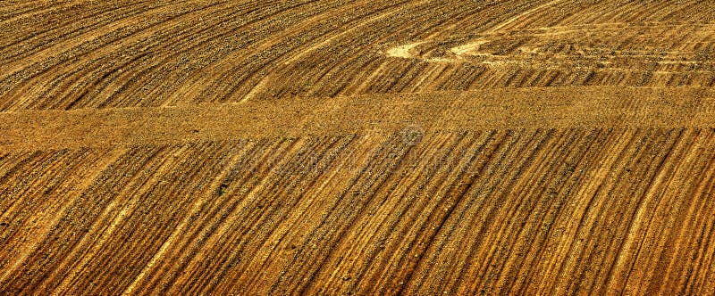 Rolling Plowed Field on Farm with Furrow Marks and Rows Texture Stock ...