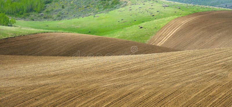 Rolling Plowed Field on Farm with Furrow Marks and Rows Texture Stock ...