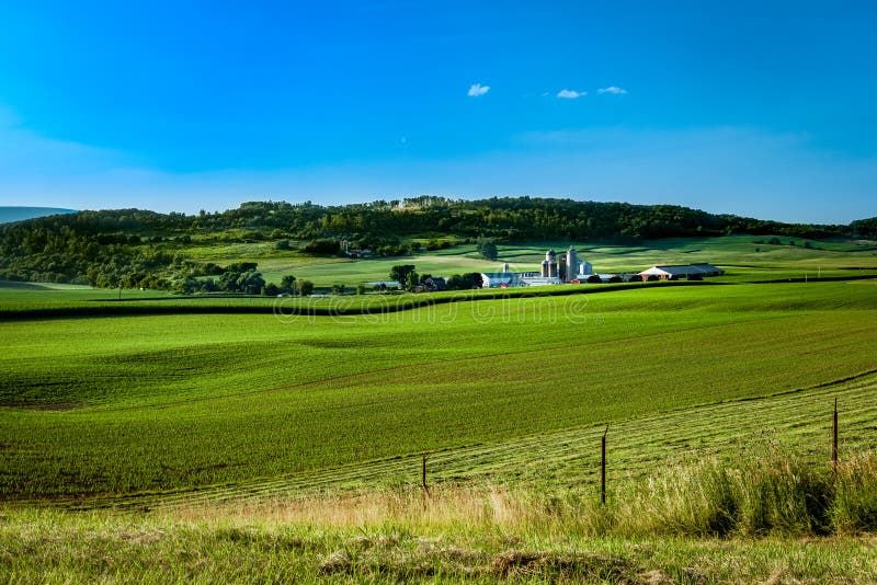 Farm with Rolling Corn Fields in Pennsylvania Stock Photo - Image of ...