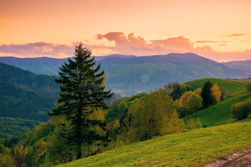Rural Mountain Landscape In Spring Stock Photo - Image of scene, forest ...