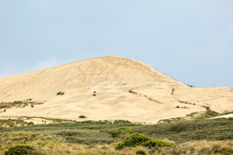 Rolling Sand Dunes in the Desert Stock Photo - Image of tracks, warming ...