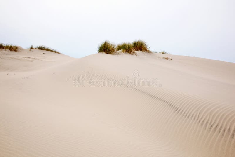 Rolling Sand Dunes stock image. Image of rolling, forever - 17565503