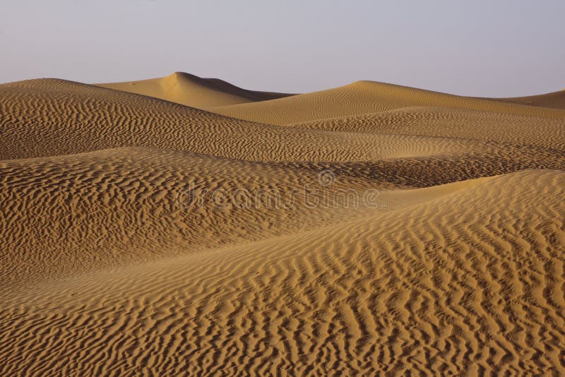 Rolling Sand Dunes stock photo. Image of harsh, rolling - 45947042