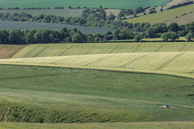 Looking Down at a Full Frame Photograph of Green Fields in the South ...