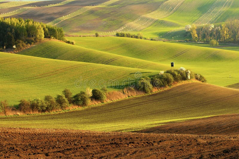 Rolling Spring Field, Alternating Planted Field with Clay Stock Image ...