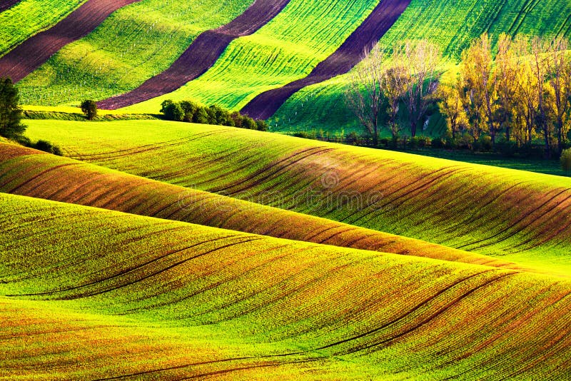 Rolling Spring Fields. Arable Lands in Czech Moravia Stock Image ...