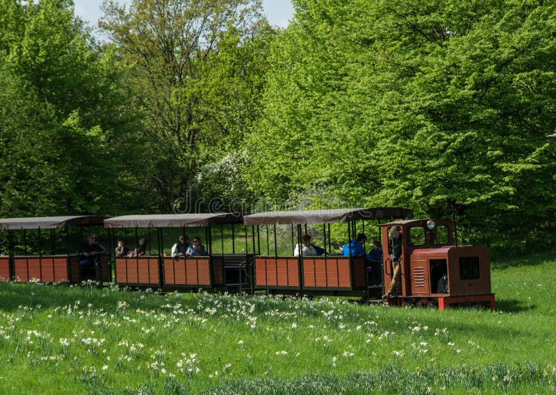 Rolling Stock, Tree, Plant, Grass Picture. Image: 119035221