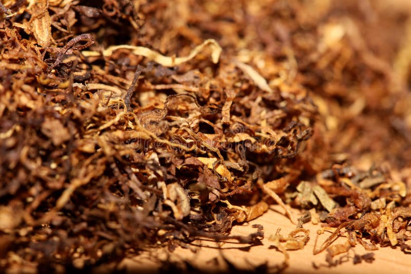 Rolling Tobacco Leaves Macro Background Stock Photography High Quality ... Rolling Tobacco Leaves Macro Background Stock Photography High Quality ...