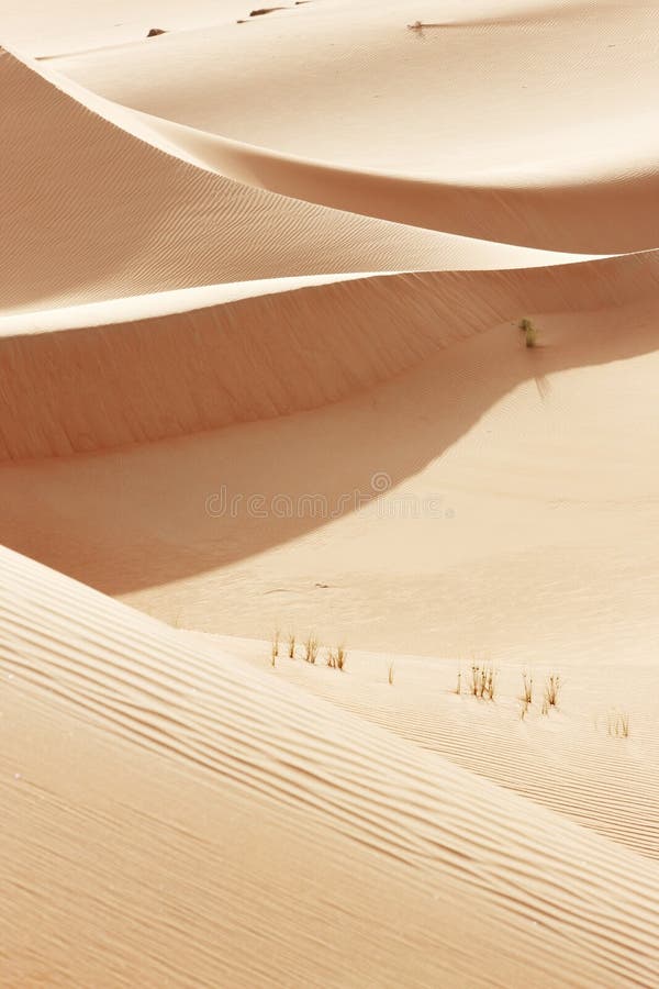 Rolling Zandduinen Van De Arabische Woestijn Stock Foto - Image of ...