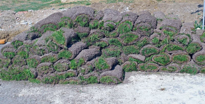 Rolls of Artificial Grass Cover Stock Photo - Image of field, roll ...
