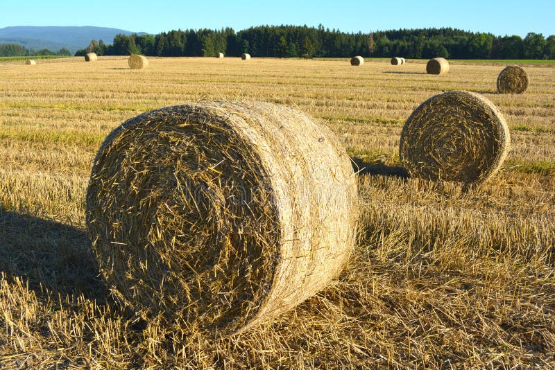 Rolls de paille image stock. Image du paille, centrale - 76711985