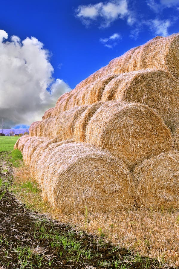 Hay Round Stack Stock Photos - Download 7,338 Royalty Free Photos