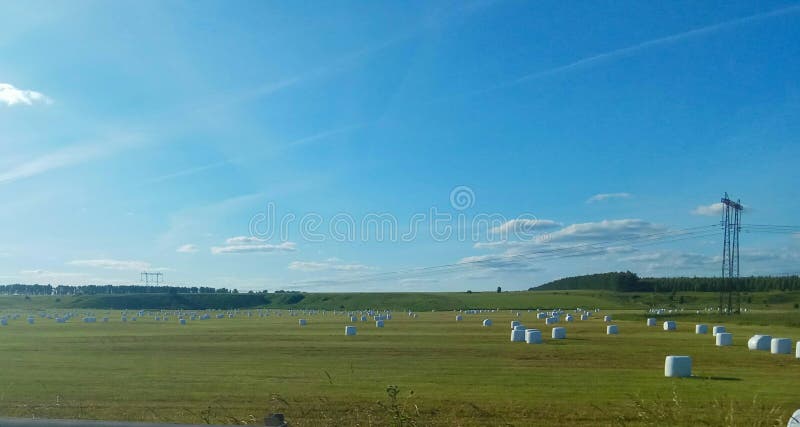 Rolls of Hay Wrapped in Packaging are Everywhere in the Field Stock ...