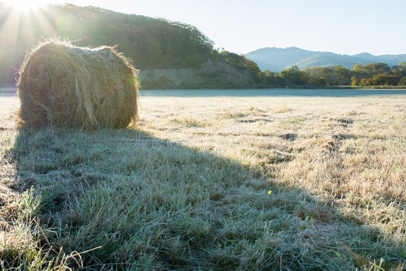 Haystacks on the Field. Old Tractor and Hay Stack Stock Photo - Image ...