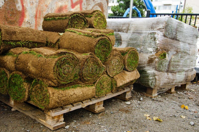 Rolls of lawn turf stock image. Image of pack, horticulture - 34238115