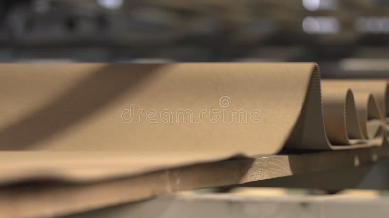 Rolls Leveling by Conveyor Movement in Spacious Workshop Stock Video ...