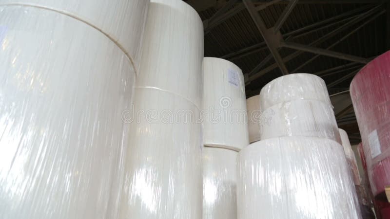 Rolls of Paper at Paper Manufacturing Factory Stock Footage - Video of ...