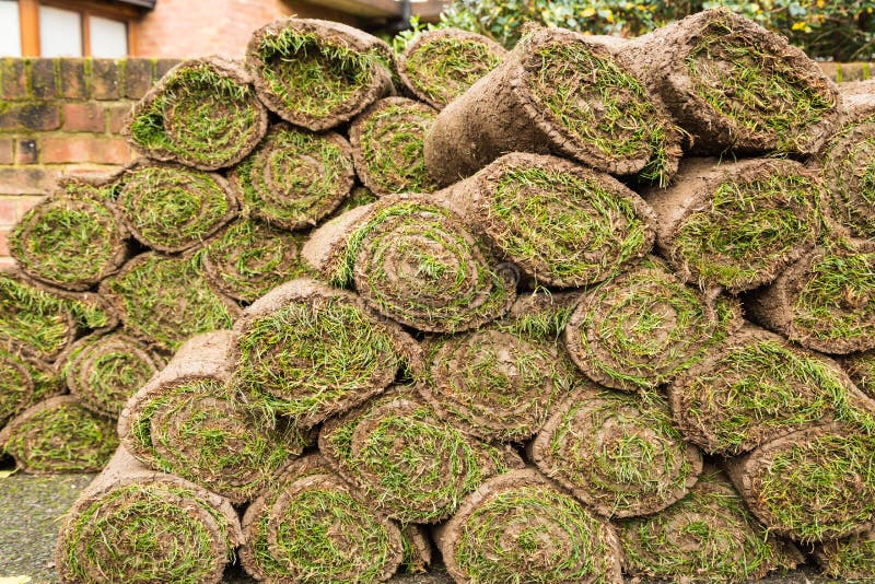 Rolls of turf stock photo. Image of turf, lawn, grass - 64454686