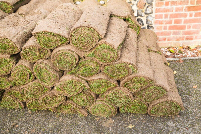 Rolls of turf stock image. Image of soil, lawn, gardening - 64454859