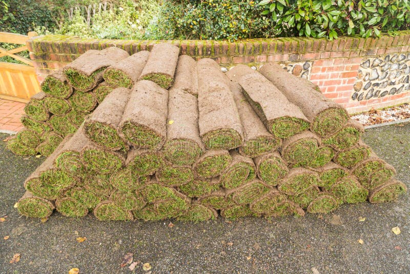 Rolls of turf stock image. Image of soil, lawn, gardening - 64454859