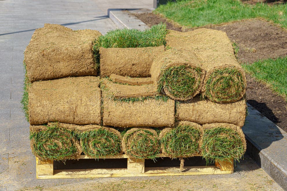 Rolls of Turf on a Pallet. Fresh Green Grass Stock Photo - Image of ...