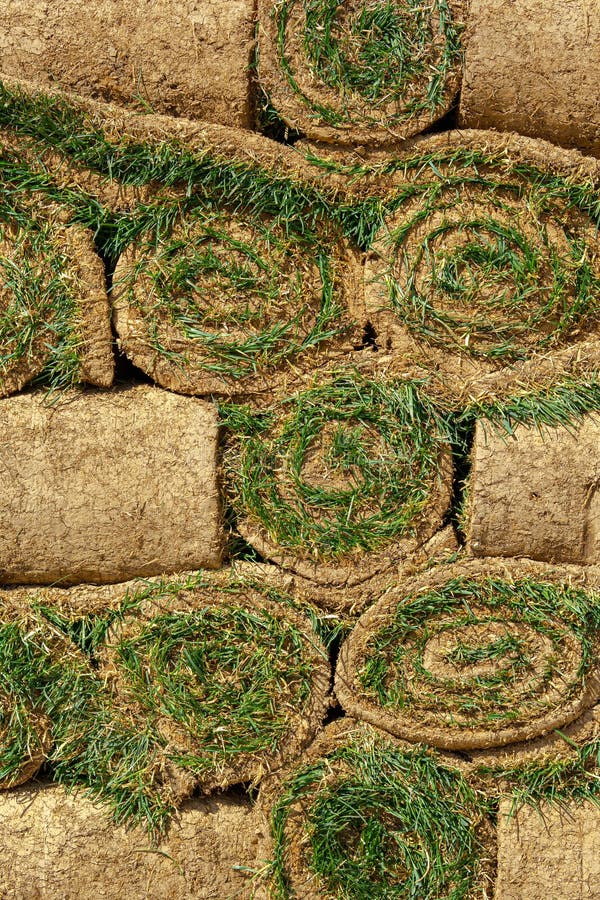 Rolls of Turf Stacked on Top of Each Other. Stock Image - Image of ...