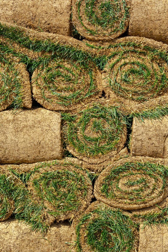 Rolls of Turf Stacked on Top of Each Other. Stock Image - Image of ...