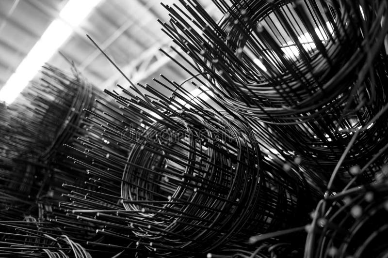 A Rolls of Wire Mesh in the Showroom of a Large Store. Stock Photo ...
