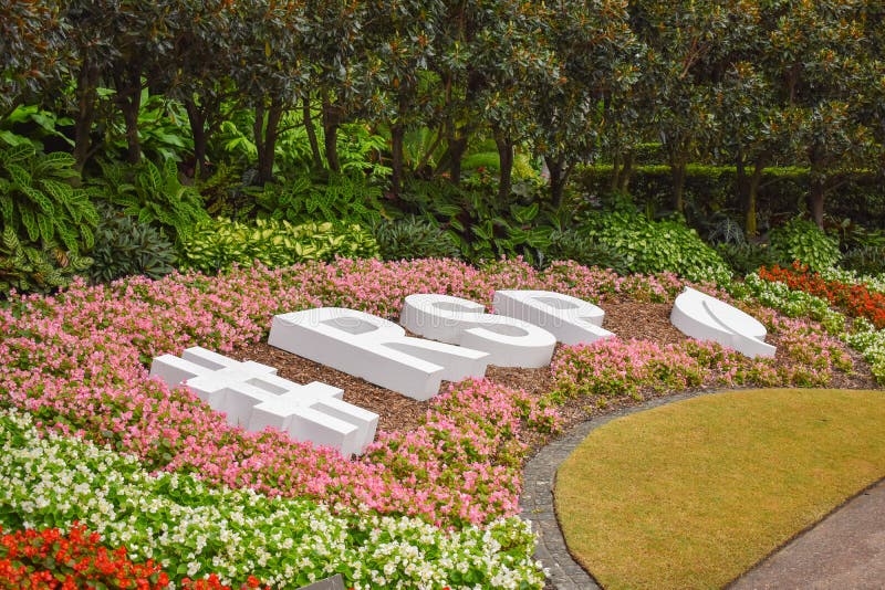 Roma Street Parklands stock image. Image of tree, hashtag - 90079785