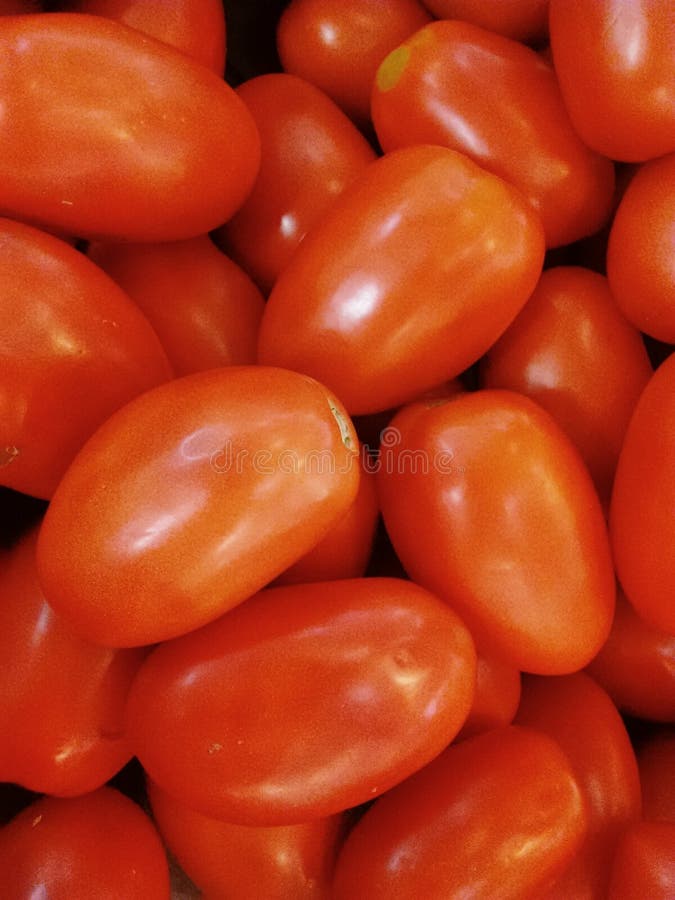 Roma Tomatoes stock image. Image of delicious, produce - 55051751