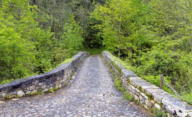 Roman Bridge Input, Poo De Cabrales. Stock Image - Image of ...