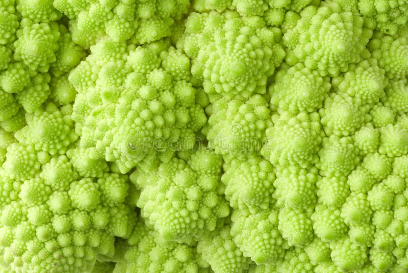 Roman Cabbage Fruit Vegetables Food Vegetarian Stock Image - Image of ...