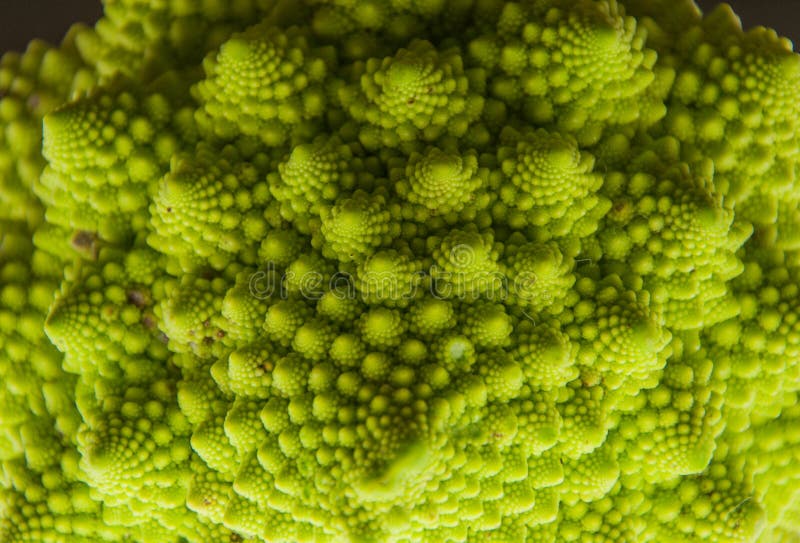 Romanesco stock image. Image of broccoli, green, surface - 1747437