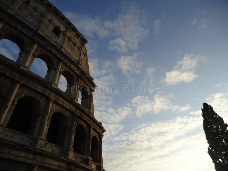 Roman colosseum with tree stock photo. Image of italian - 146425032