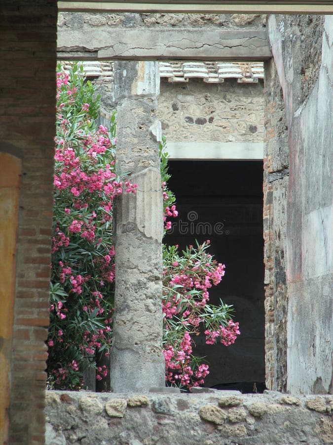 9+ Roman column flowers Free Stock Photos - StockFreeImages