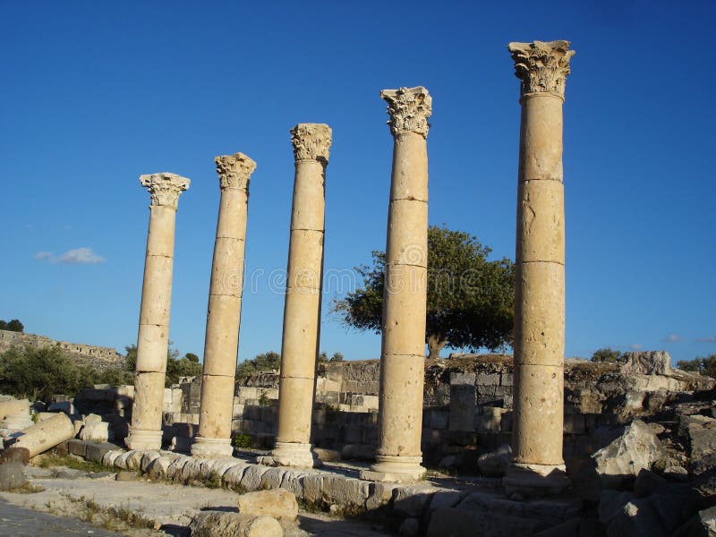 Roman Columns And Olive Trees Stock Image - Image of jordan, stones ...