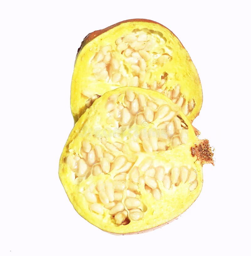 Roman fruit stock image. Image of piece, sweet, natural - 49050595