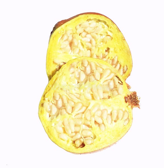 Roman fruit stock image. Image of piece, sweet, natural - 49050595