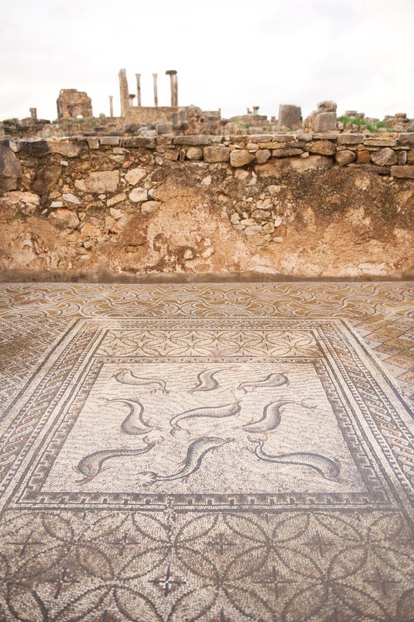 Roman Marble Mosaic at Volubilis, N Morocco Stock Photo - Image of ...