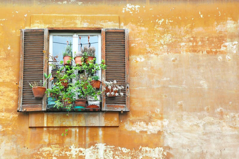 Roman Window & Flower Pots Stock Image - Image of plant, lazio: 39589289