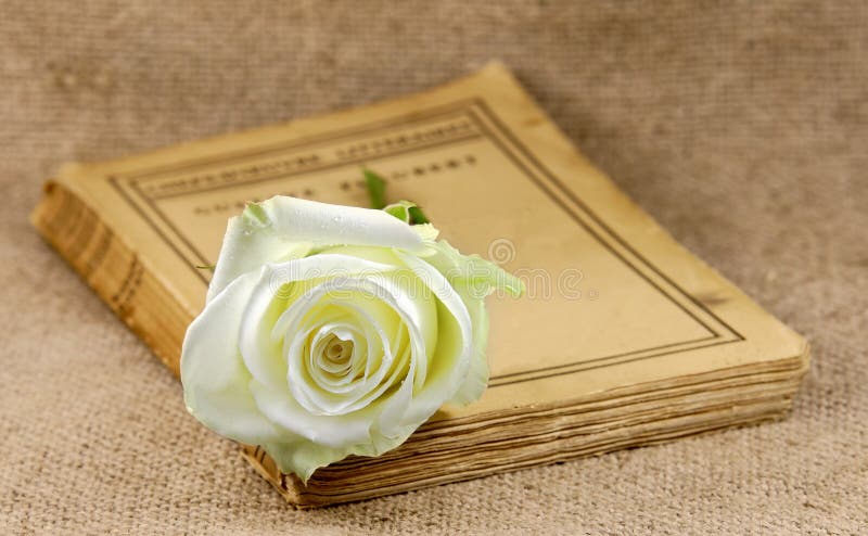 Romance stock photo. Image of paper, open, romantic, text - 32492362