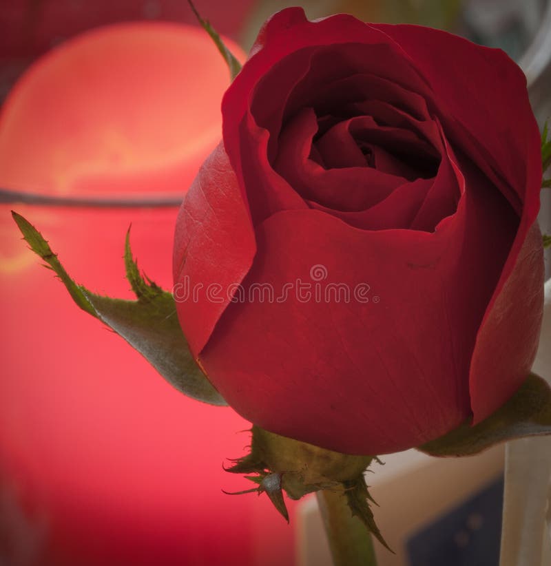 Romance in Red stock image. Image of romantic, mystery - 48235063
