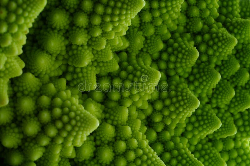 Romanesco stock image. Image of broccoli, green, surface - 1747437