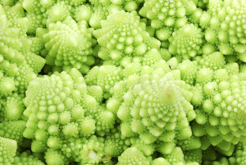 Romanesco stock image. Image of cauliflower, healthy - 22286317