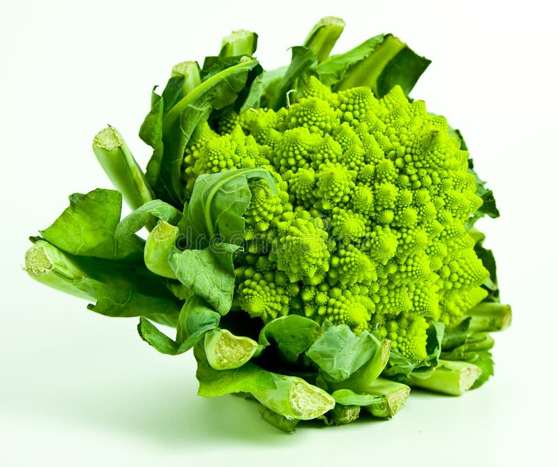 Romanesco stock photo. Image of garden, delicious, green - 6640088